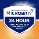 Microban 24 Hour Disinfectant Sanitizing Spray, Citrus, 15 fl oz – Rafaelos